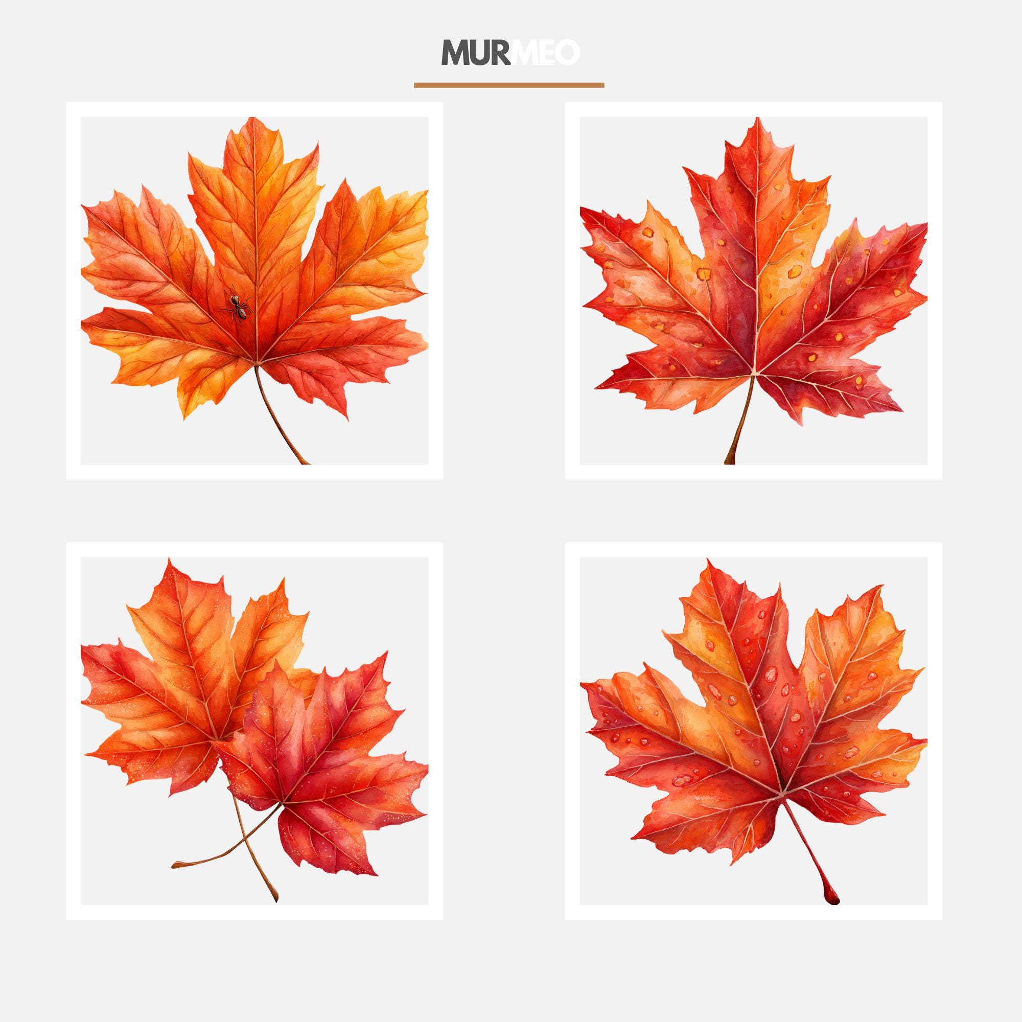 Elegant Autumn Maple Leaf Clipart With Realistic Dew Drops for Fall ...
