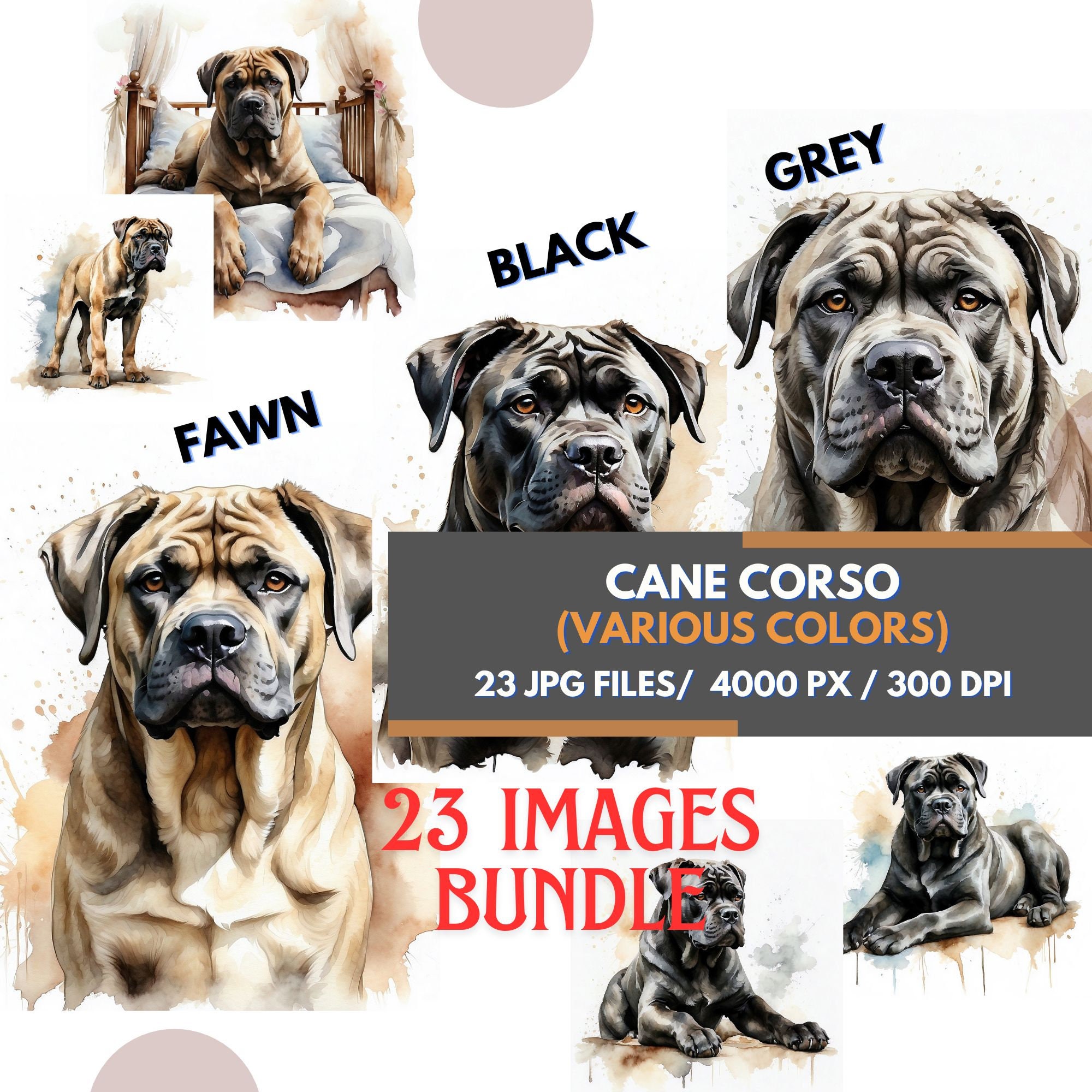 23 Cane Corso Clipart Bundle, Black Grey and Fawn Cane Corso, Dog ...