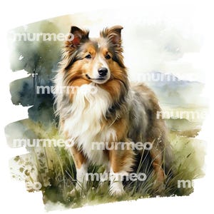 Whimsical Sheltie Dog Art, Set of 20 PNG Transparent Images, Dog Breeds ...