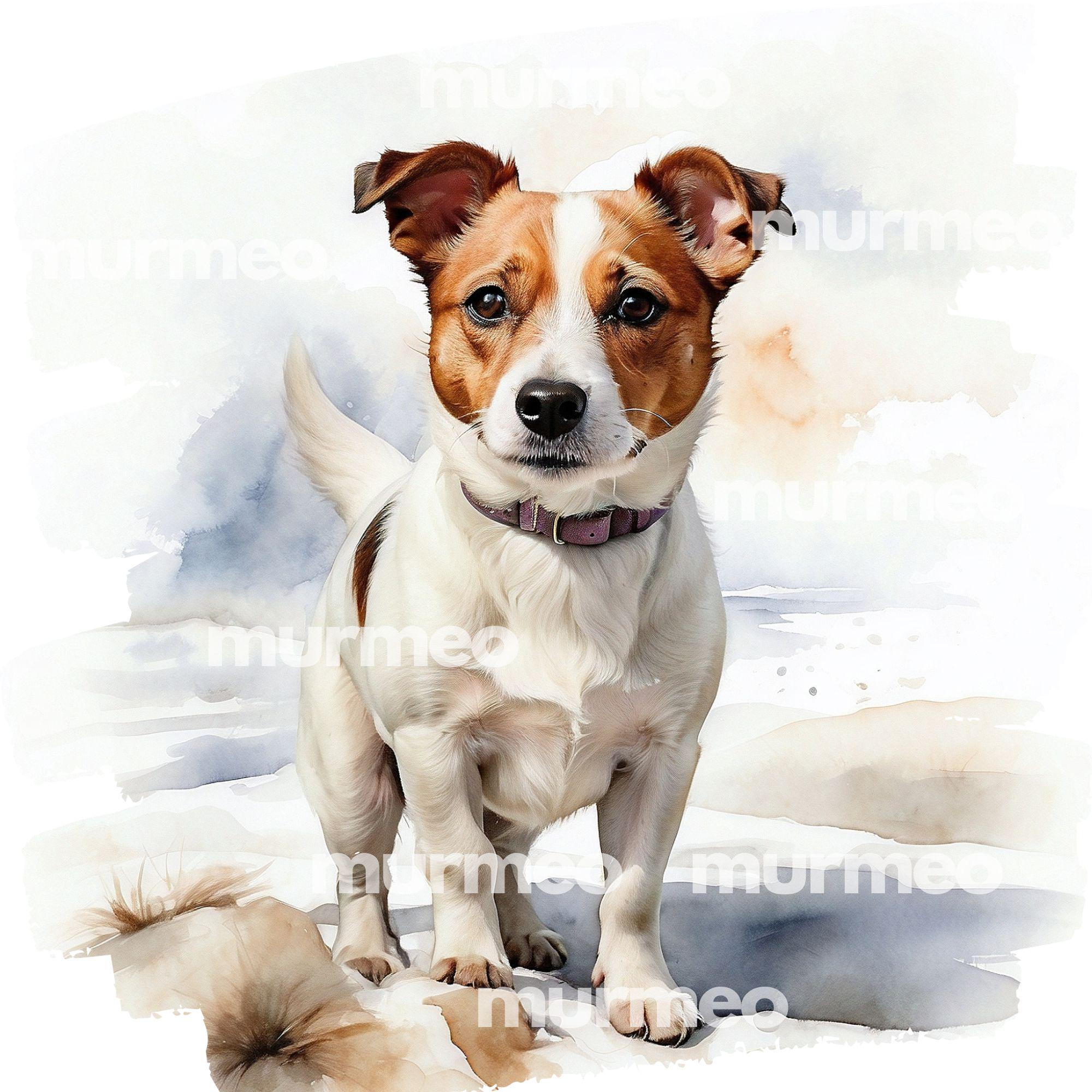 Jack Russell Terrier Watercolor Clipart Set, 28 Transparent PNG Images ...