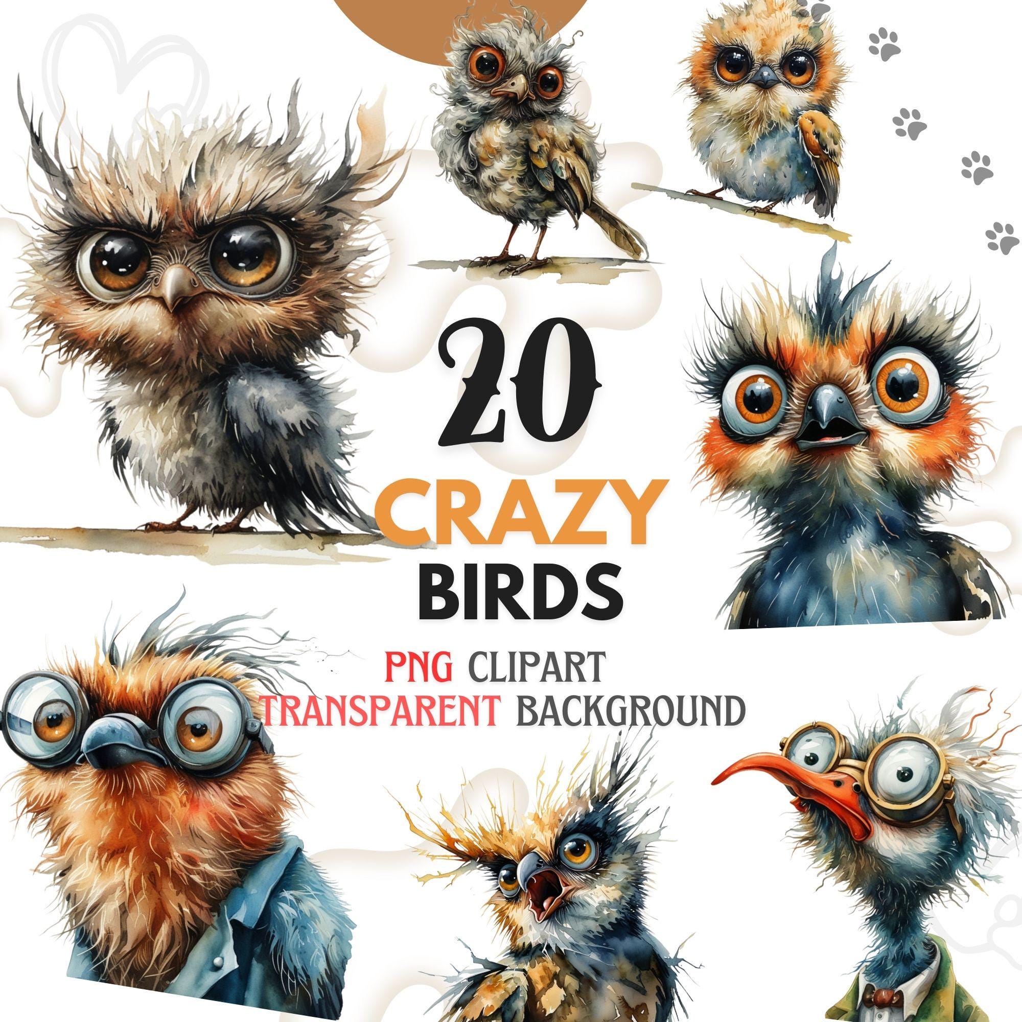Crazy Birds PNG Clipart Bundle, Funny Watercolor Bird Illustrations ...
