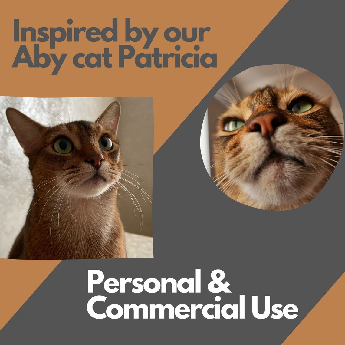 Abyssinian Cat Monster Set of 12 High-quality PNG Images Transparent ...