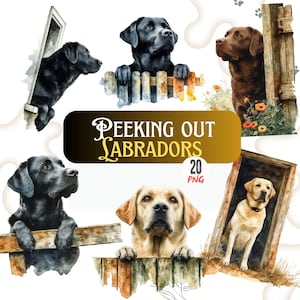 Peeking Out Labrador Dogs PNG Clipart Bundle, Cute Labrador Retriever ...