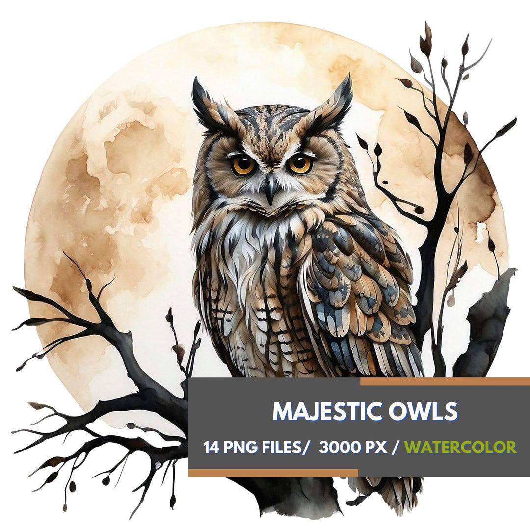 Majestic Watercolor Owl Clipart Set – 14 Transparent Pngs of Owls in ...