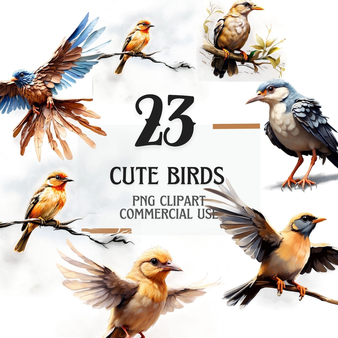 Charming Birds Clipart Set, 23 Cute Watercolor Bird PNG, Small Bird ...