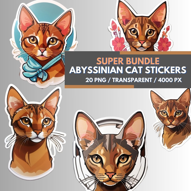 Abyssinian Cat Stickers, Mega Bundle, 20 High-quality Pngs, Transparent ...