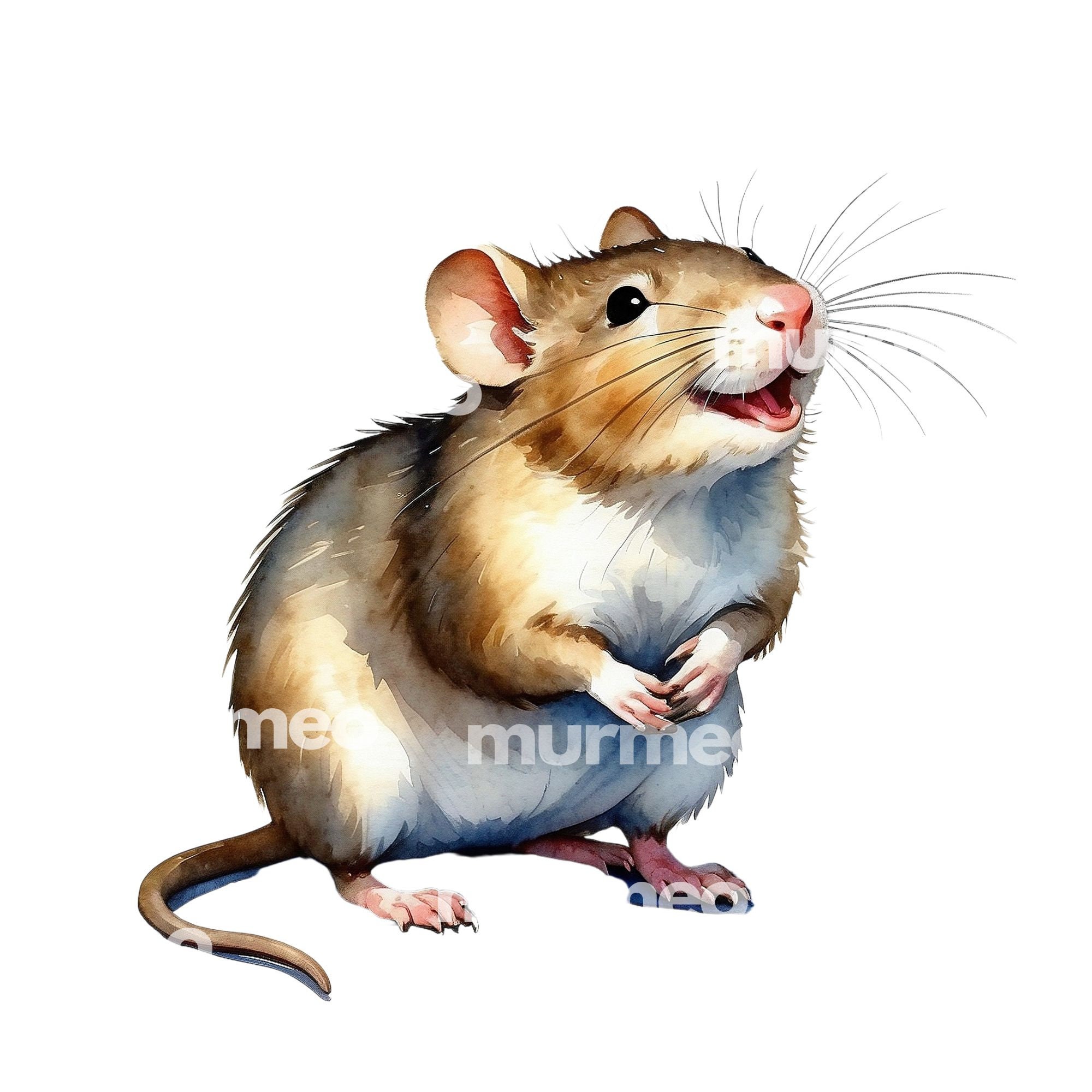 Rat With Fish Taco Clipart, 18 Magical PNG Images, Full Commercial Use ...