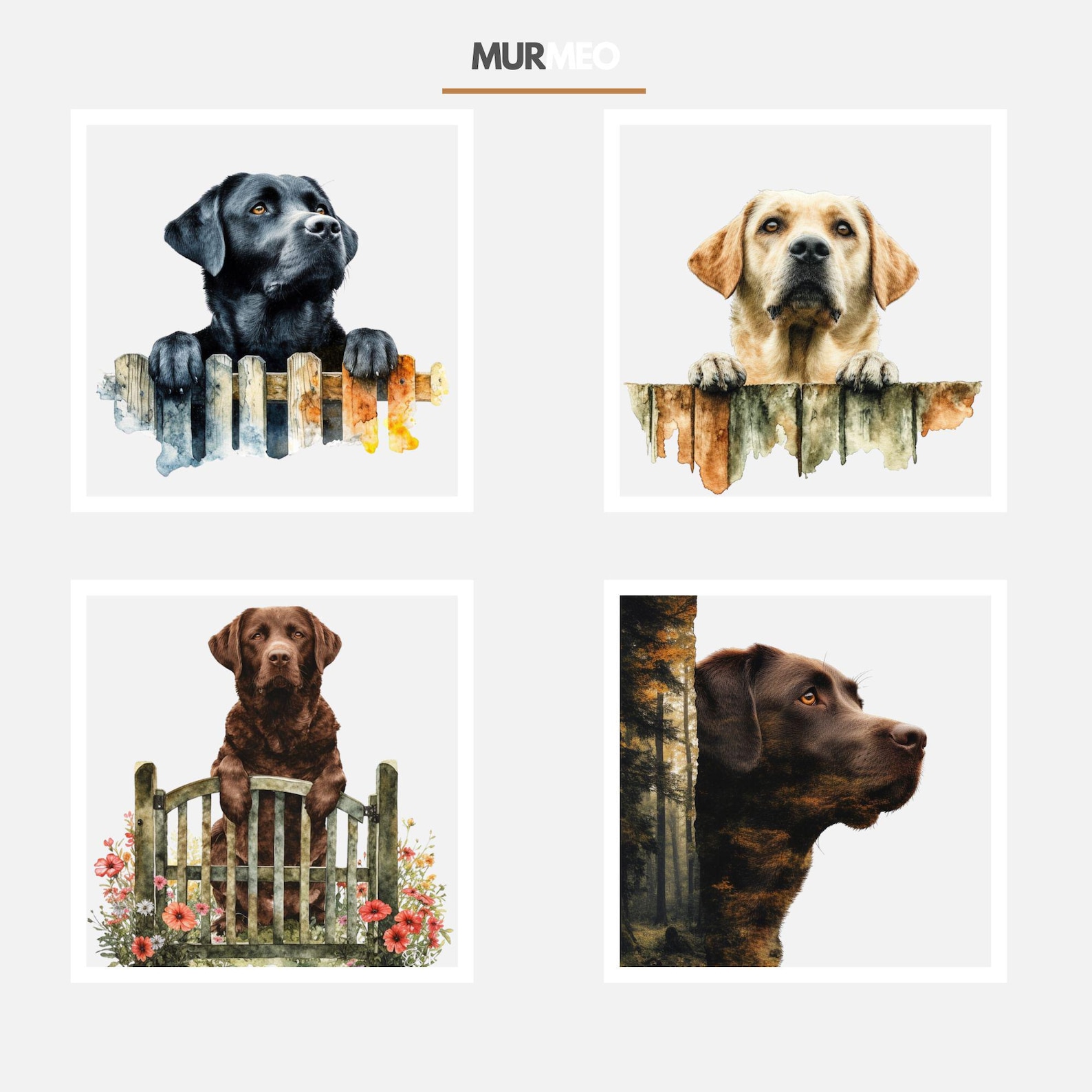 Peeking Out Labrador Dogs PNG Clipart Bundle, Cute Labrador Retriever ...