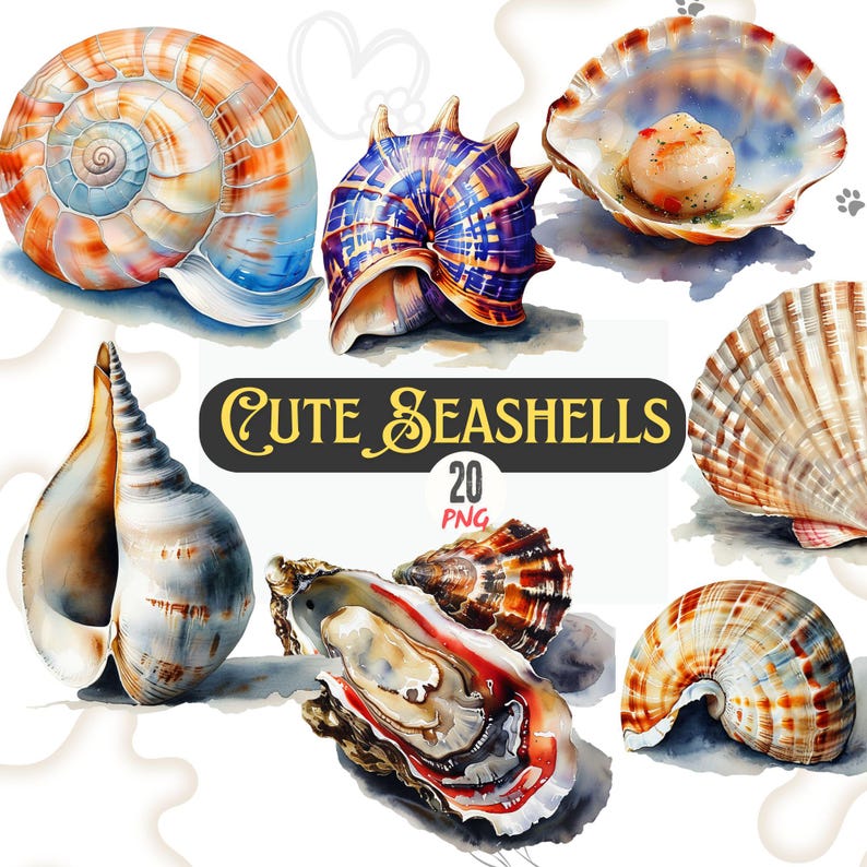 Watercolor Seashell Clipart Set of 20 PNG Cute Ocean Shells Nautical ...