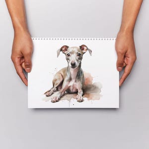 Italian Greyhound Dog Transparent Watercolor Clipart, 21 PNG ...