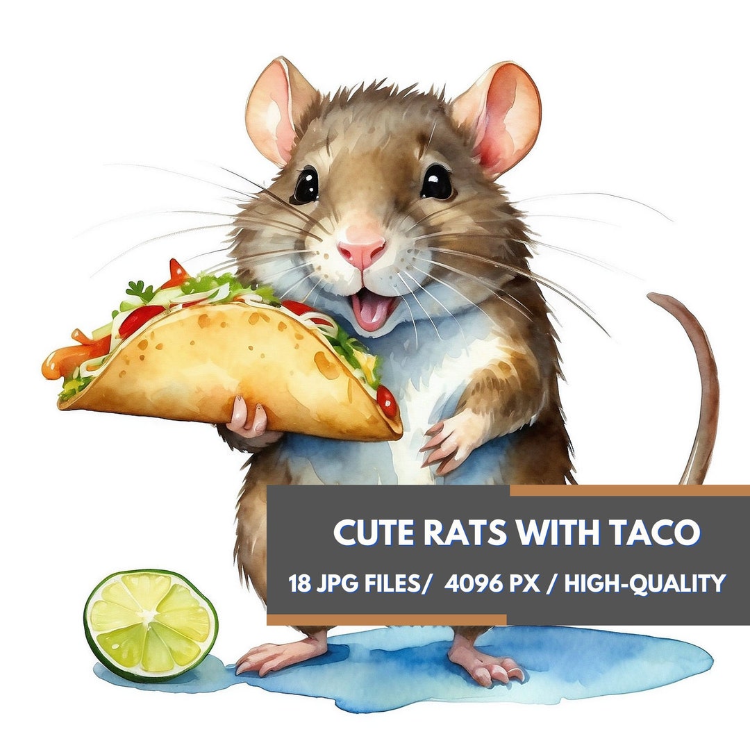 Rat Eating Food Clipart, Adorable Rat Clip Art Crafting, Scrapbooking ...