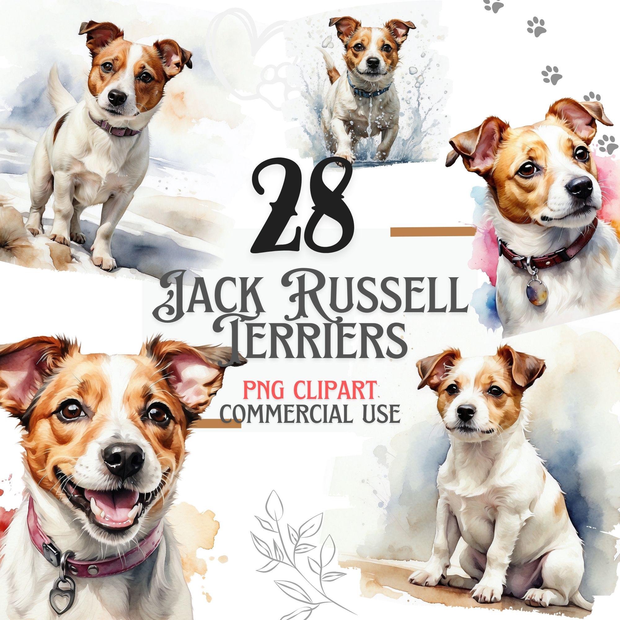 Jack Russell Terrier Watercolor Clipart Set, 28 Transparent PNG Images ...