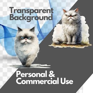 Frazzled Cat, Grumpy Cat Art Print, Funny Cat Illustration Bundle ...