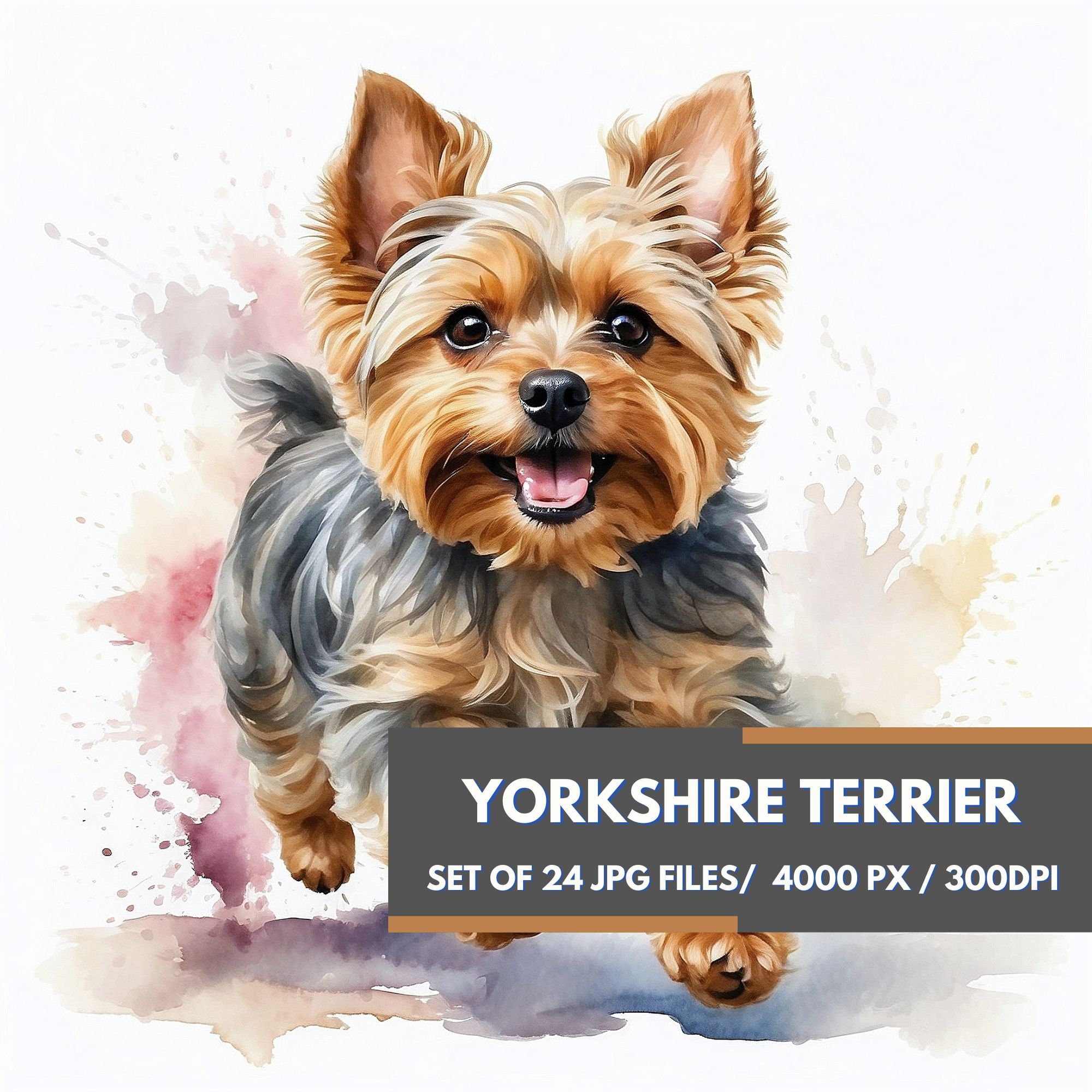 24 Yorkshire Terrier Clipart Set | Watercolor Yorkshire Terrier ...