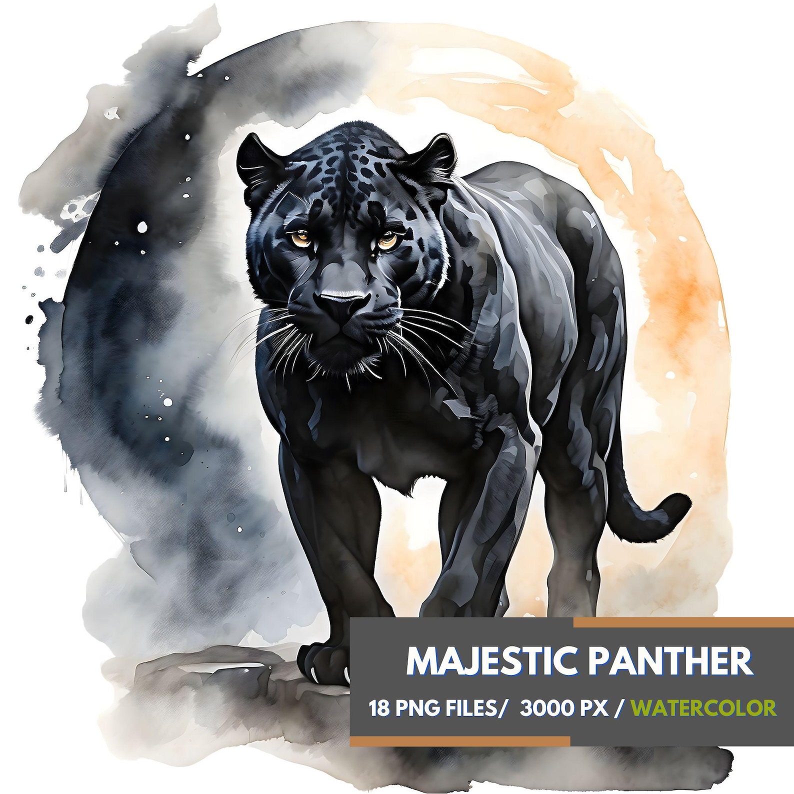 Majestic Panther Clipart Set, Transparent Watercolor Pngs Panther in ...