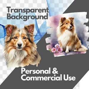 Whimsical Sheltie Dog Art, Set of 20 PNG Transparent Images, Dog Breeds ...