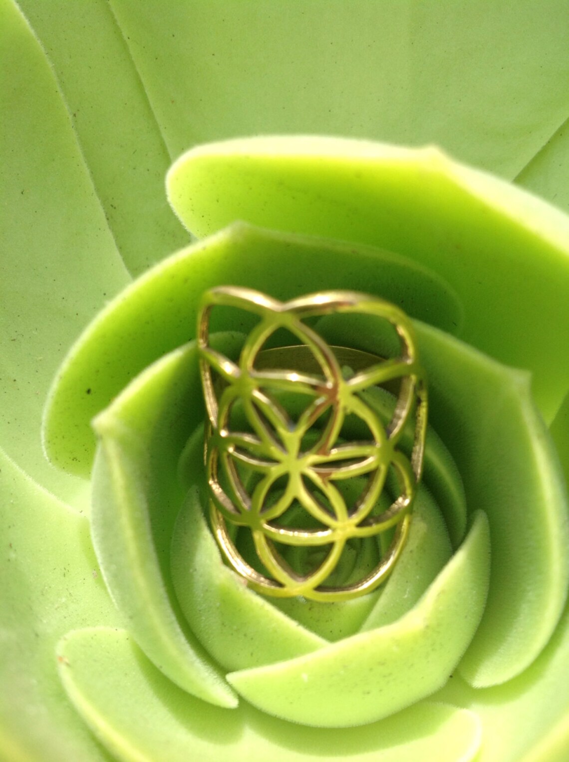 Flower of Life Ring Seed of Life Ring Sacred Geometry Ring | Etsy