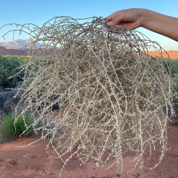 Tumbleweed - Etsy