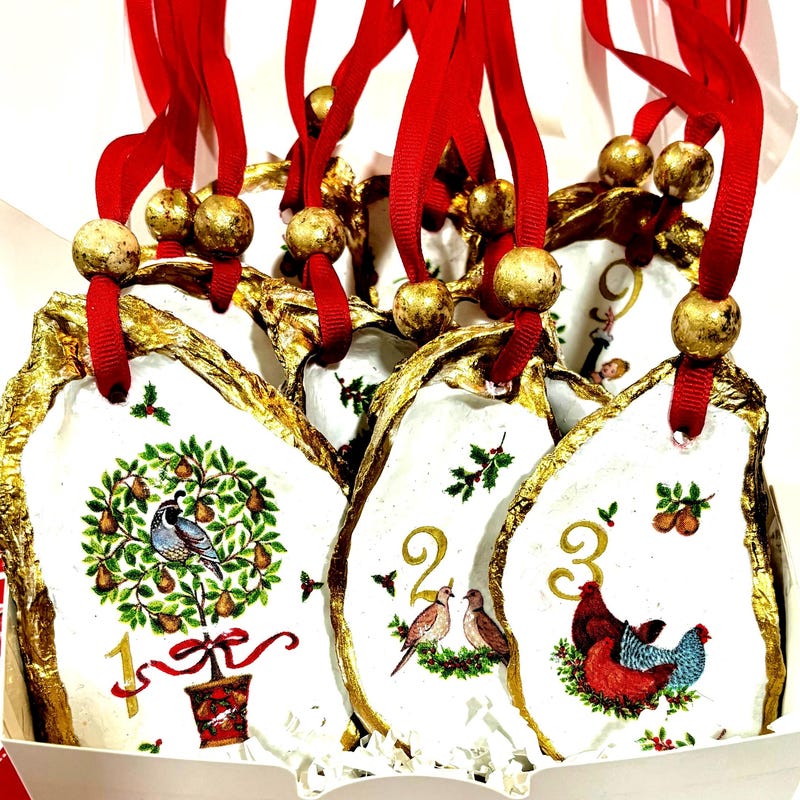 Everyones a Shell - Etsy