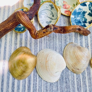 Custom Small Floral Shell Trinket Dish/ Clam Shell Jewelry Holders ...