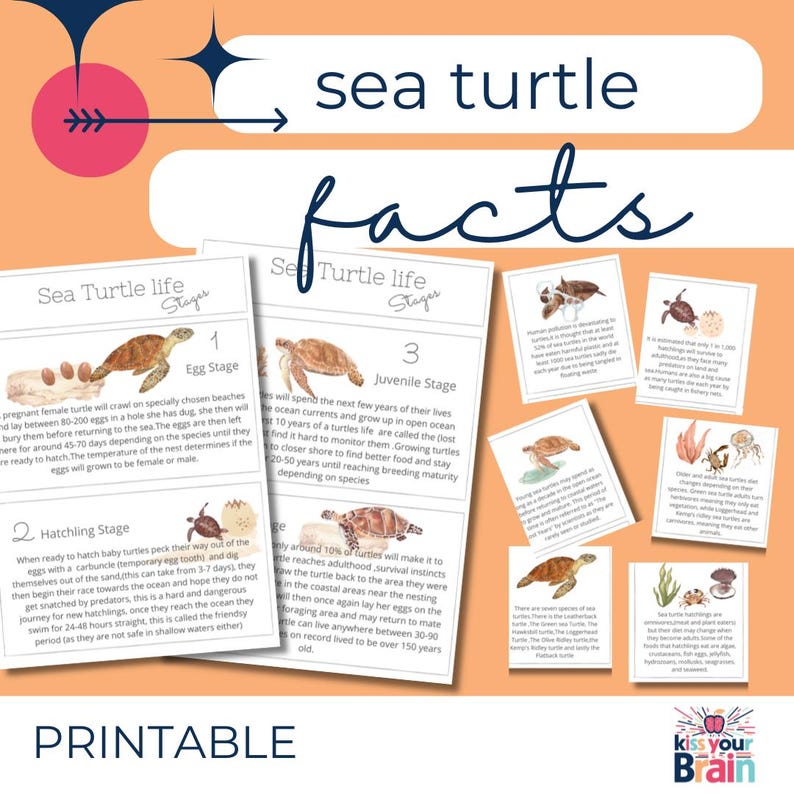 Sea Turtle Fact Sheets | Study Unit - Etsy