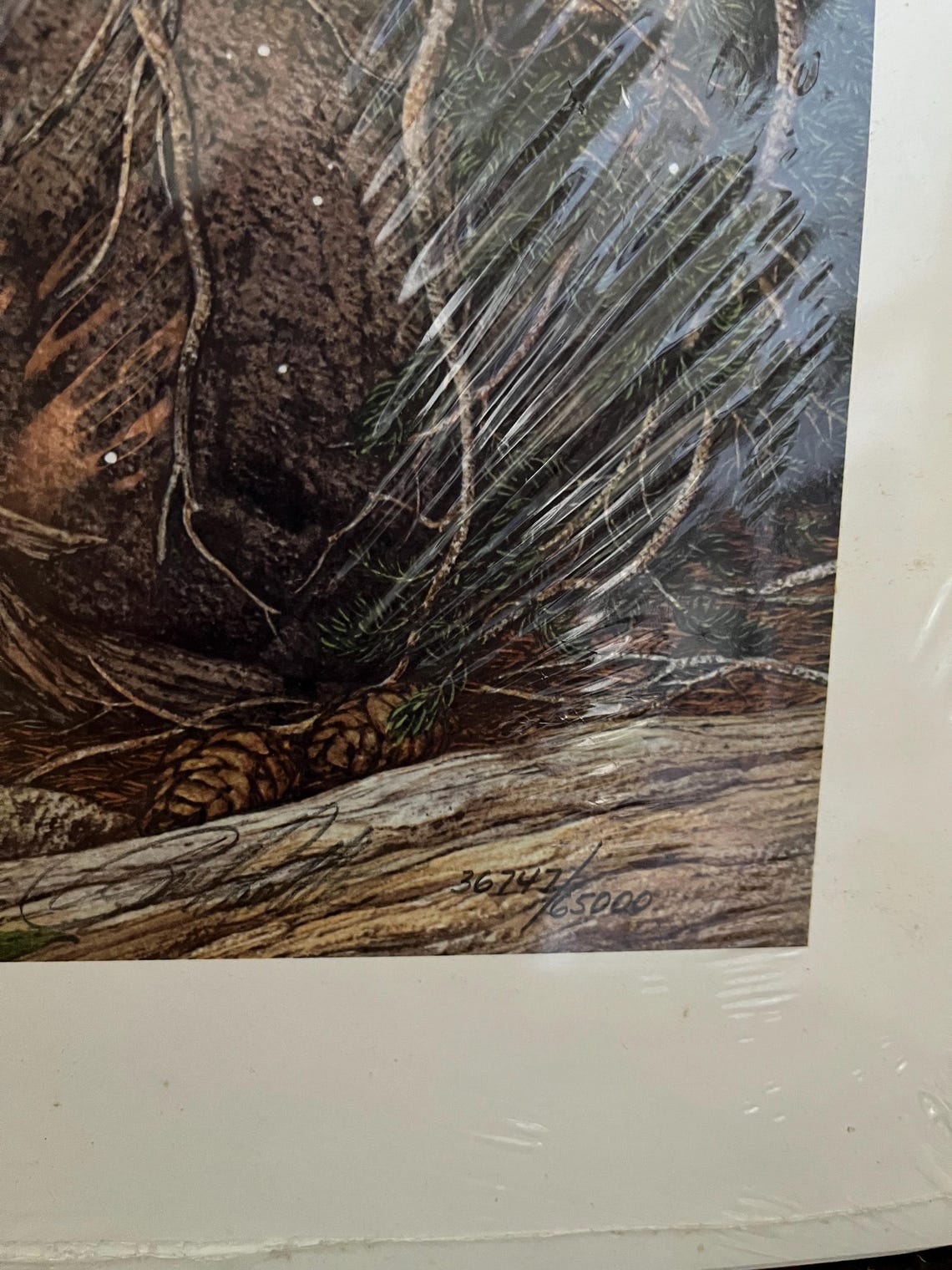 Bev Doolittle Print - Etsy