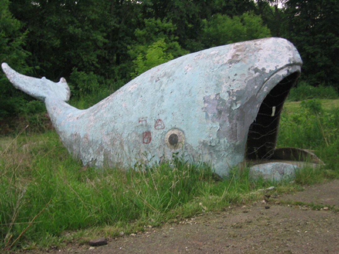 Blue Cement Willie the Whale Photo Mother Goose Land Canton OH - Etsy