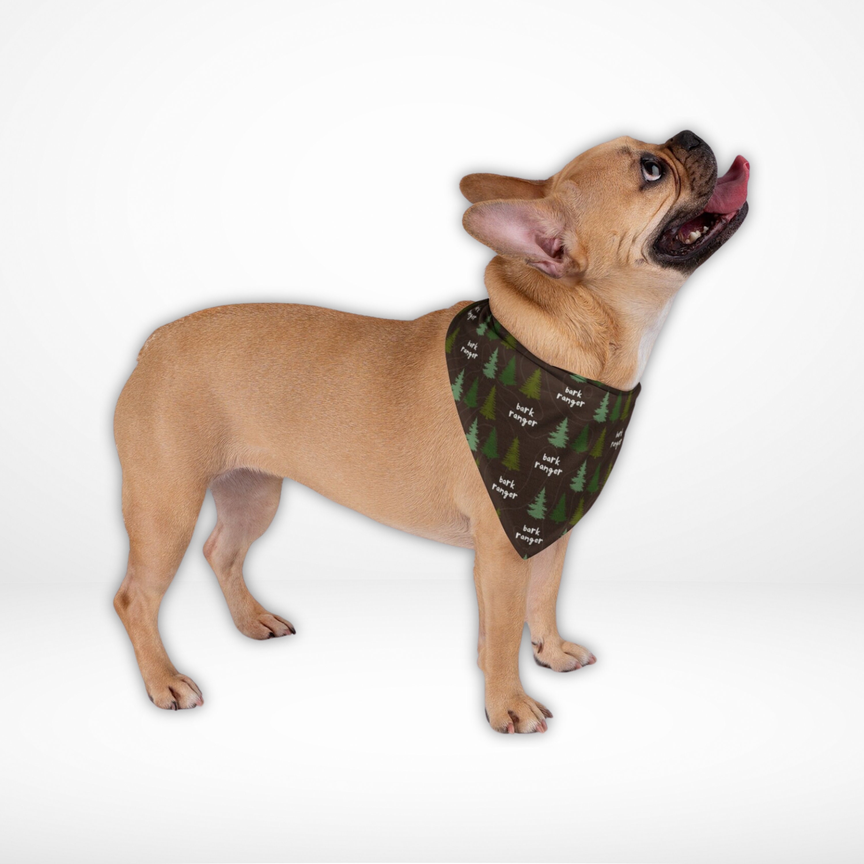 Bark Ranger Dog Bandana, Adventure Dog Bandana, Active Dogs, Dog Hiking ...