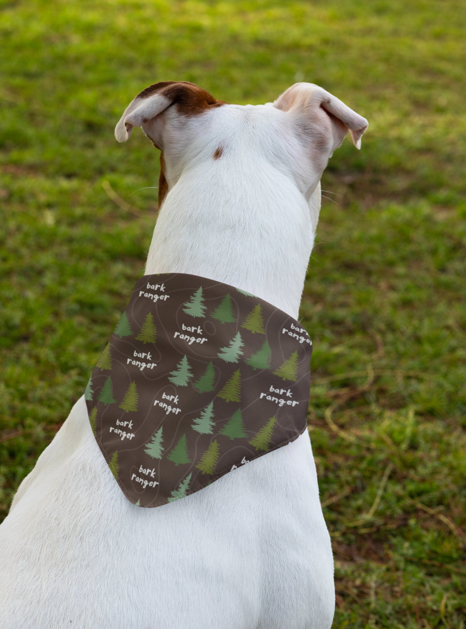 Bark Ranger Dog Bandana, Adventure Dog Bandana, Active Dogs, Dog Hiking ...