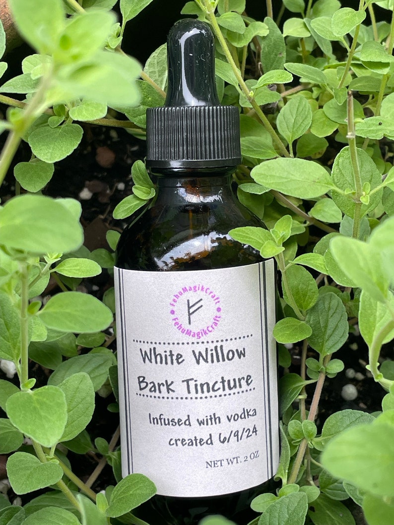 White Willow Bark Tincture - Etsy