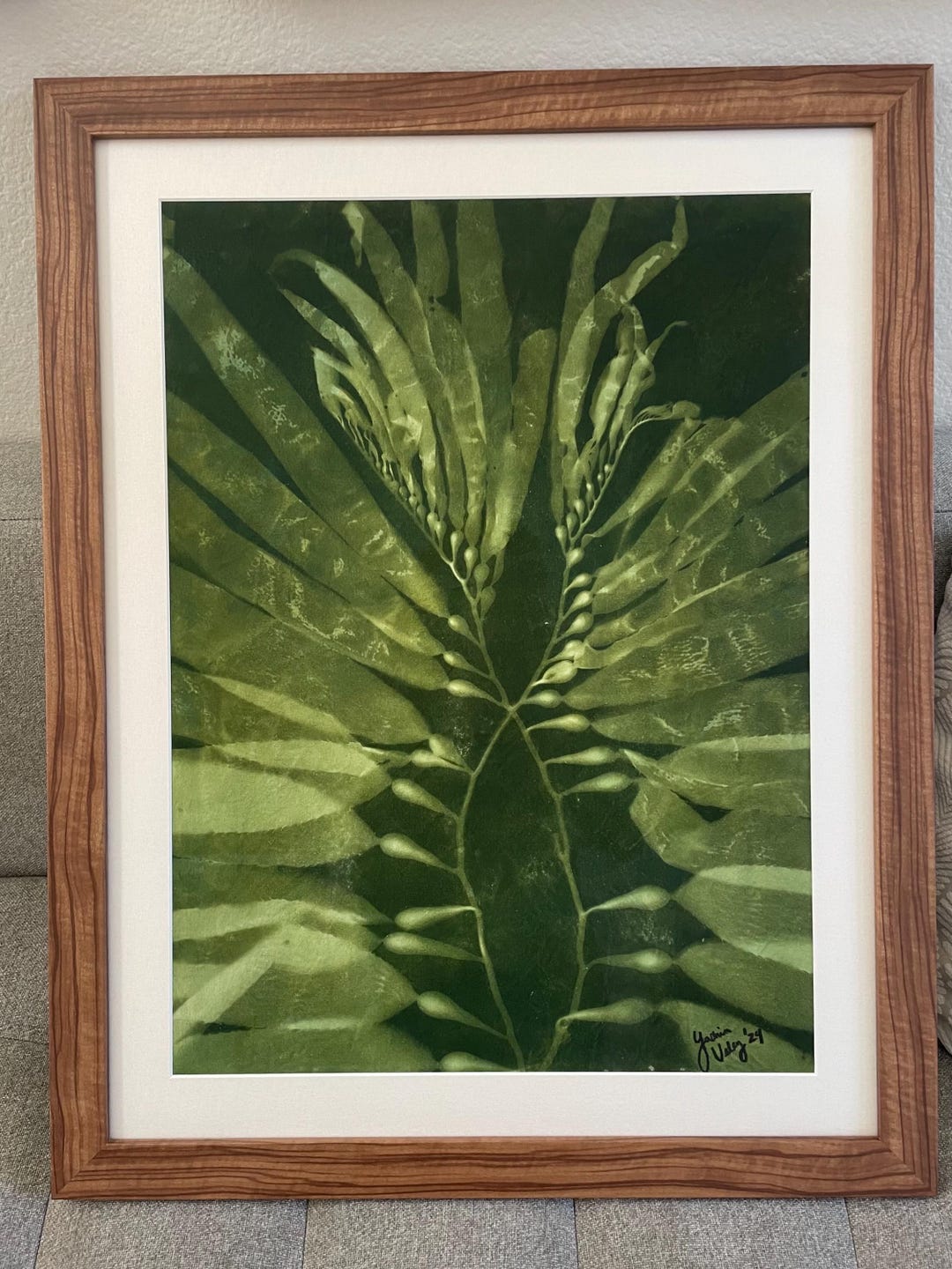 Cyanotype Kelp Print Custom Framed - La Jolla Kelp Forest - Etsy