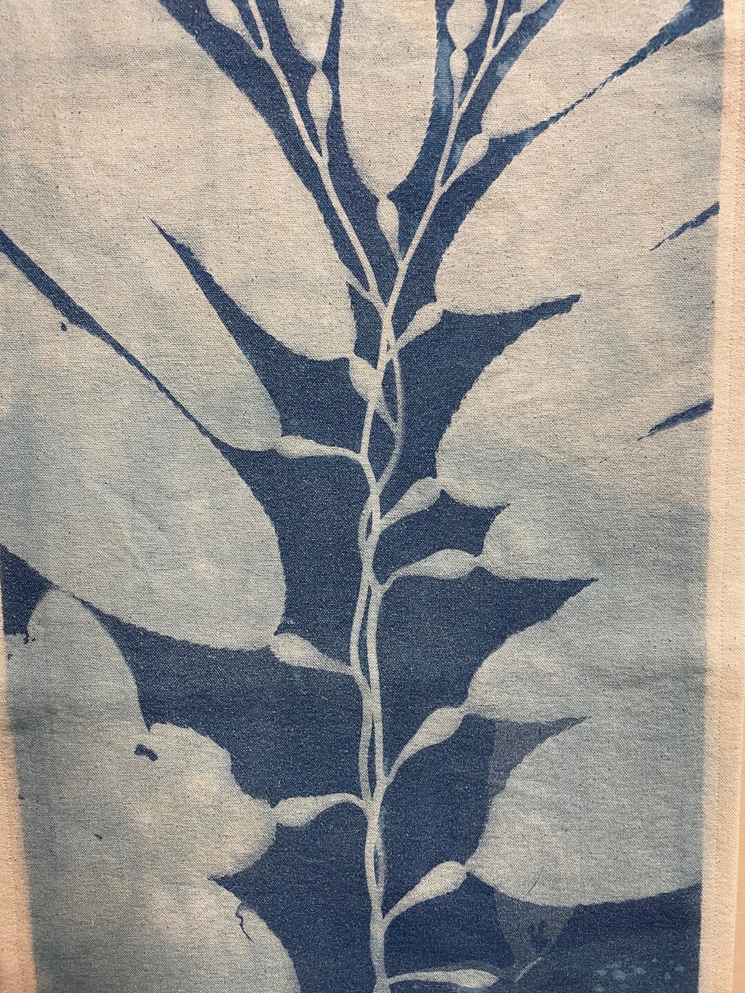 Cyanotype Kelp Print Tapestry- Point Loma Kelp Forest - Etsy