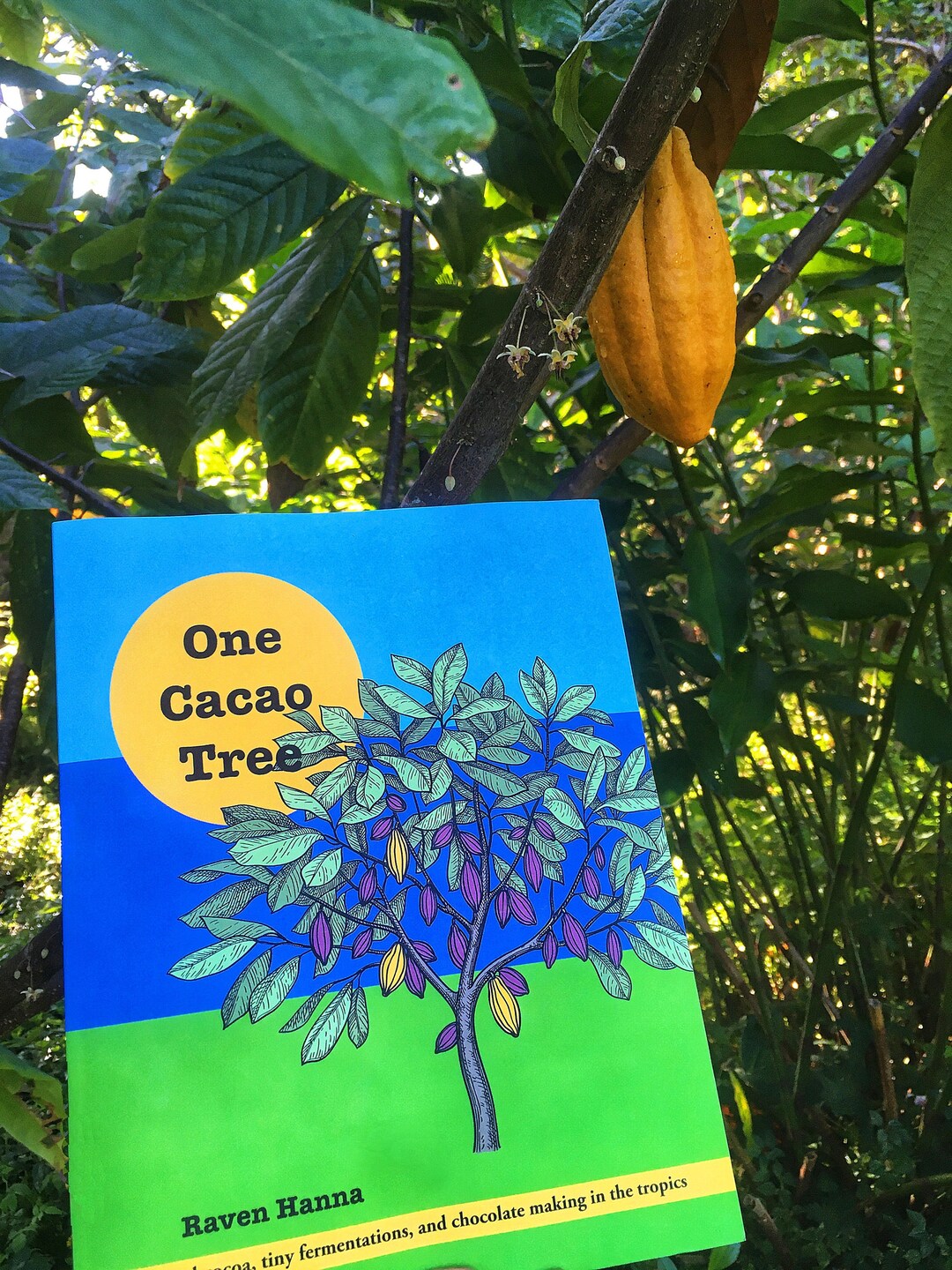 One Cacao Tree Book: Backyard Chocolate Making in the Tropics - Etsy