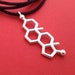 Testosterone Necklace Molecule of Drive and Desire in Solid Sterling ...