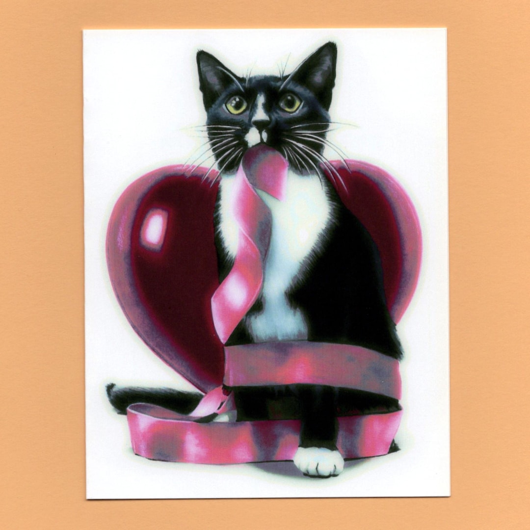 Funny Cat Valentine's Day Card: Cute V-day Kitten Greeting, Plebeian ...