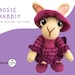 Amigurumi Pattern Crochet Rosie Rabbit Bunny DIY Digital Download - Etsy