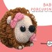 Amigurumi Pattern Crochet Porcupine Baby Hedgehog Animal Doll Toy PDF ...