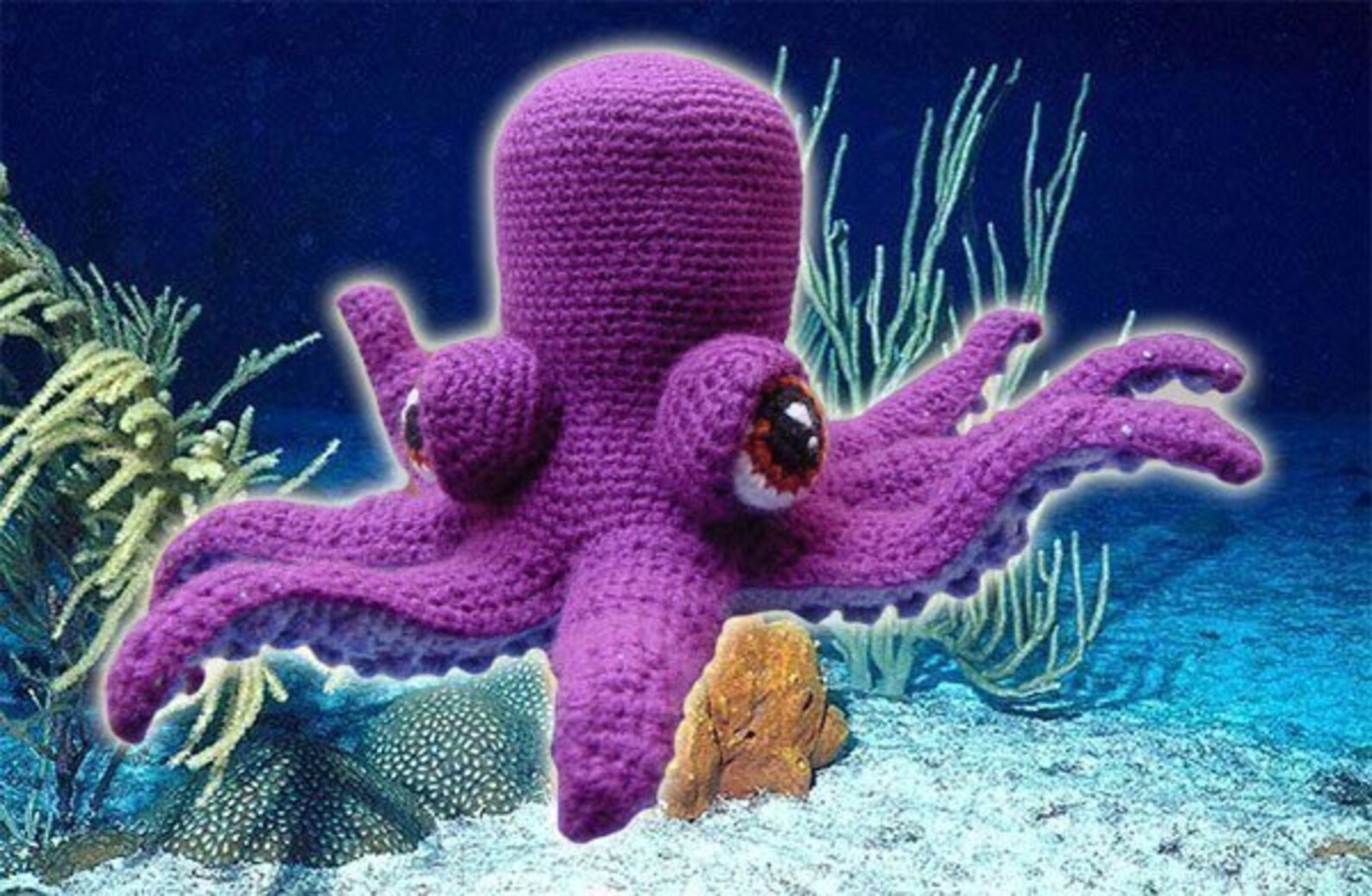 Amigurumi Pattern Crochet Otto Octopus DIY Instant Digital | Etsy