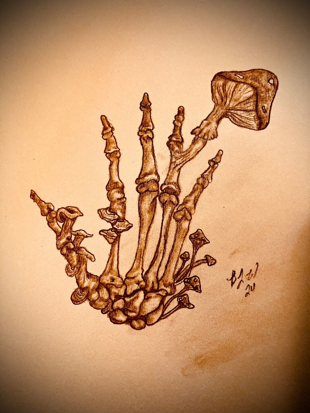 Skeleton Hand Mushroom Drawing. Macabre Hand Sketched Digital Download ...