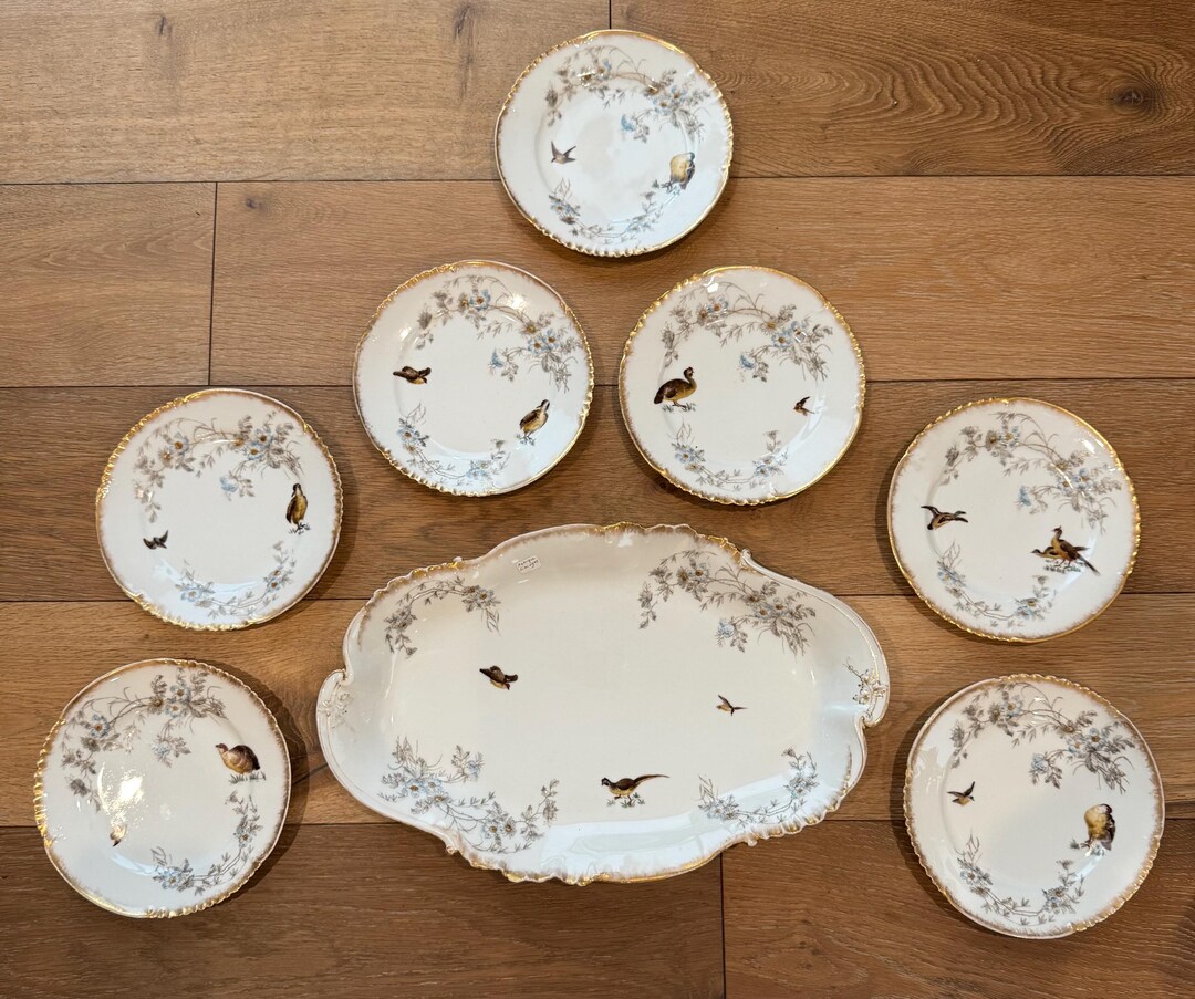 Antique Limoges France Game Bird Plate Wall | Hand Painted 8-piece Set ...