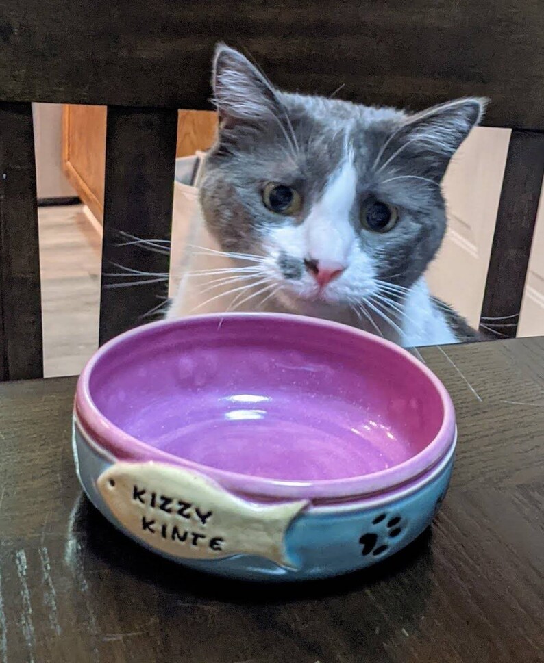 One Custom Cat Food Bowl Made to Order and Personalized With - Etsy