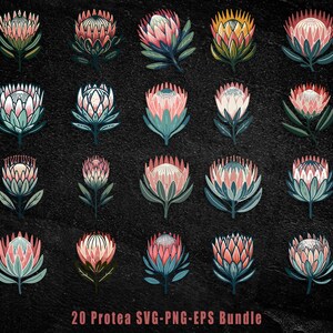 Protea Flowers Svg, Protea Clipart, Protea Cut Files for Cricut, Protea ...