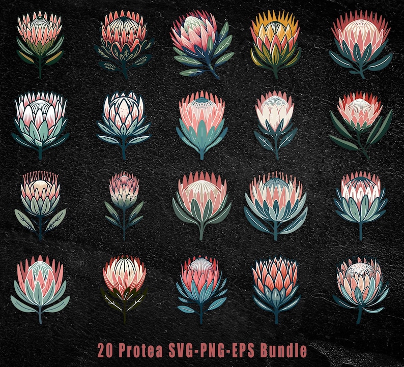 Protea Flowers Svg, Protea Clipart, Protea Cut Files for Cricut, Protea ...