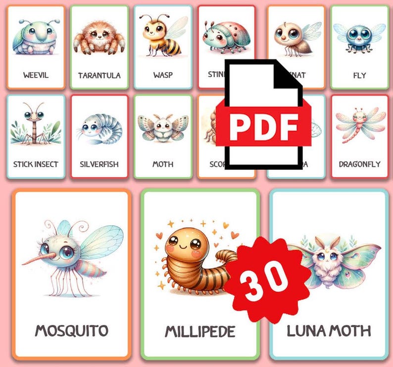 Insect Flash Cards: Montessori Nomenclature Cards (PDF Printable) - Etsy