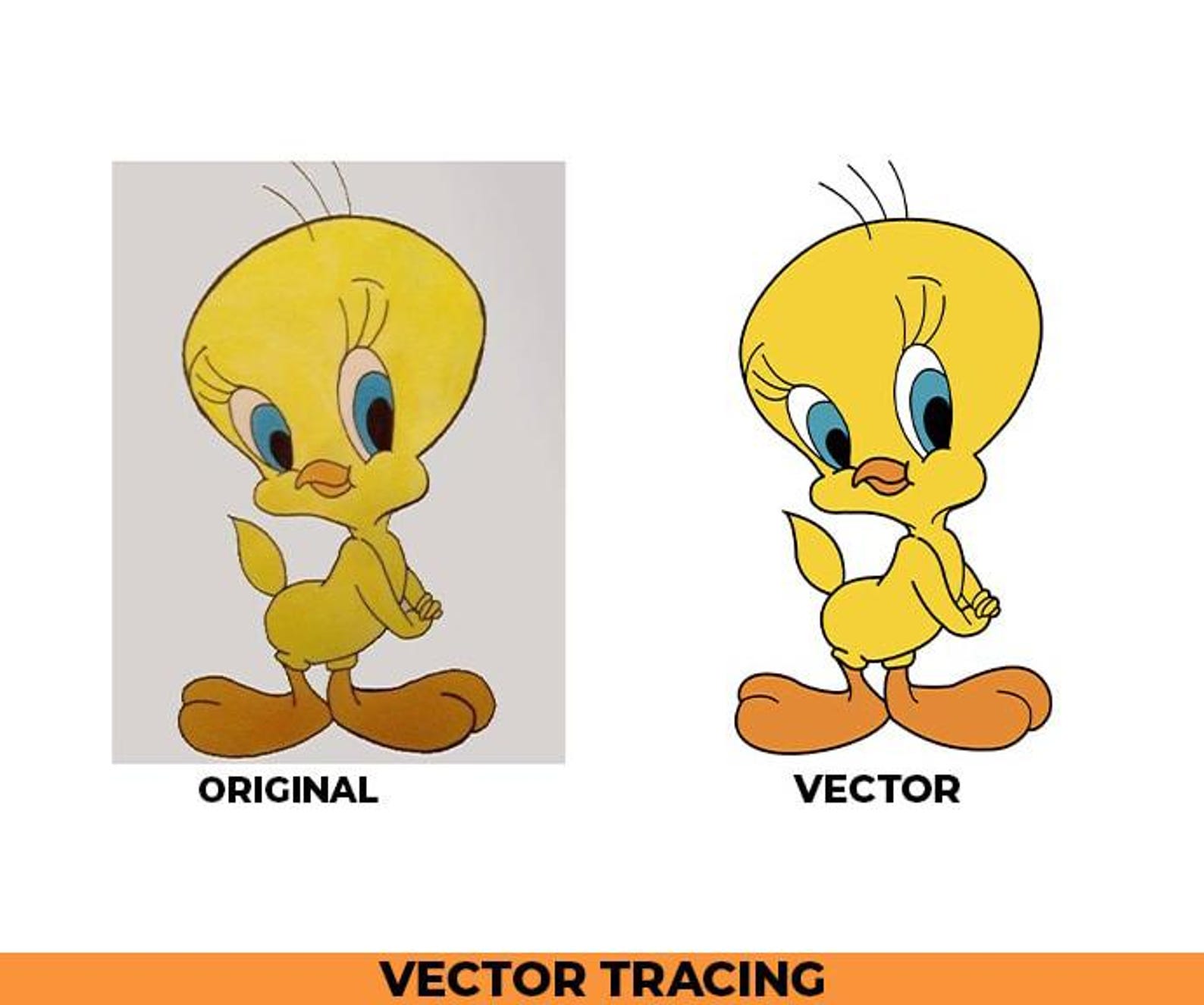 Custom Vectorize Service, Image to Vector, Image Vectorize, Redraw ...
