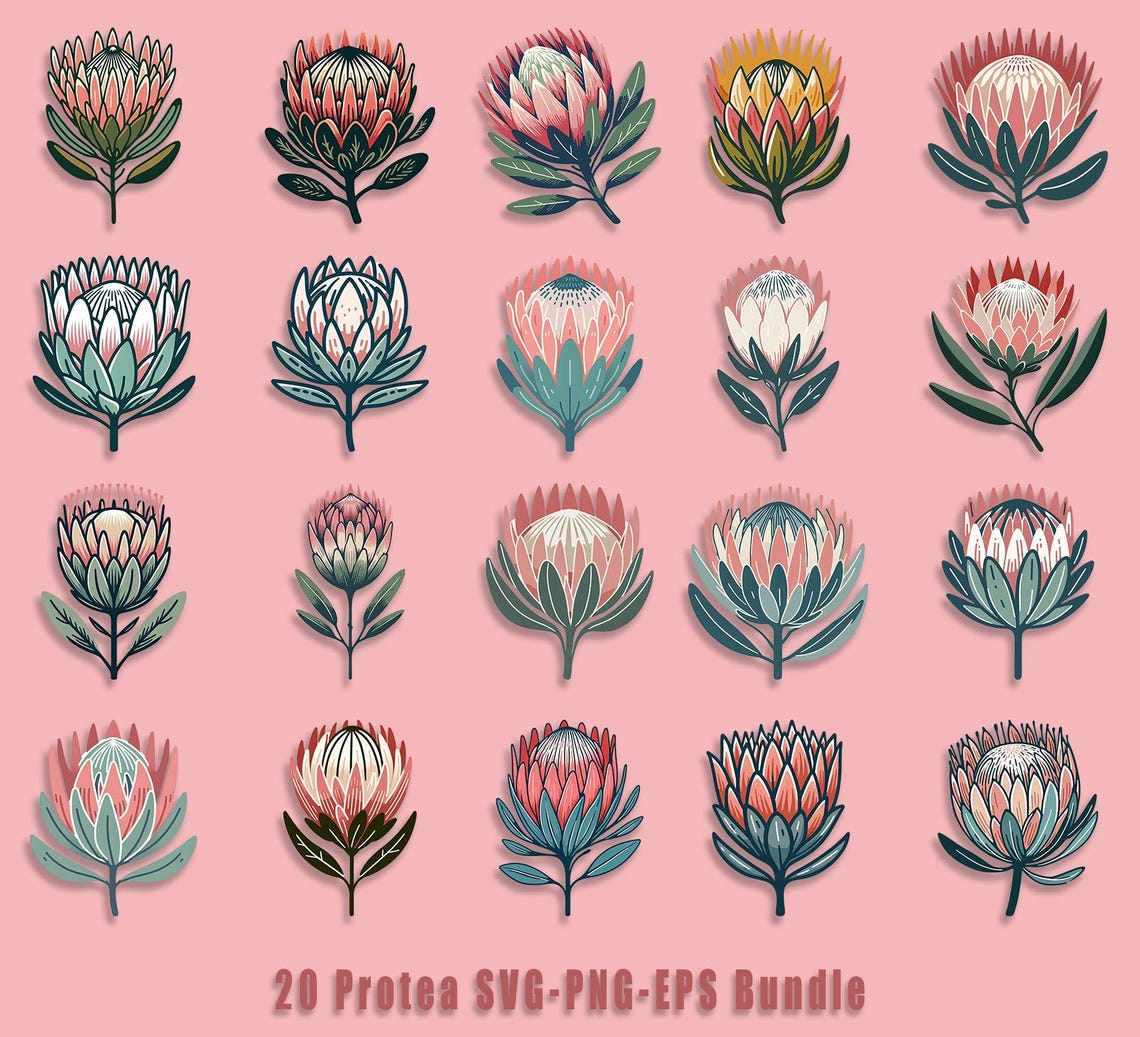 Protea Flowers Svg, Protea Clipart, Protea Cut Files for Cricut, Protea ...