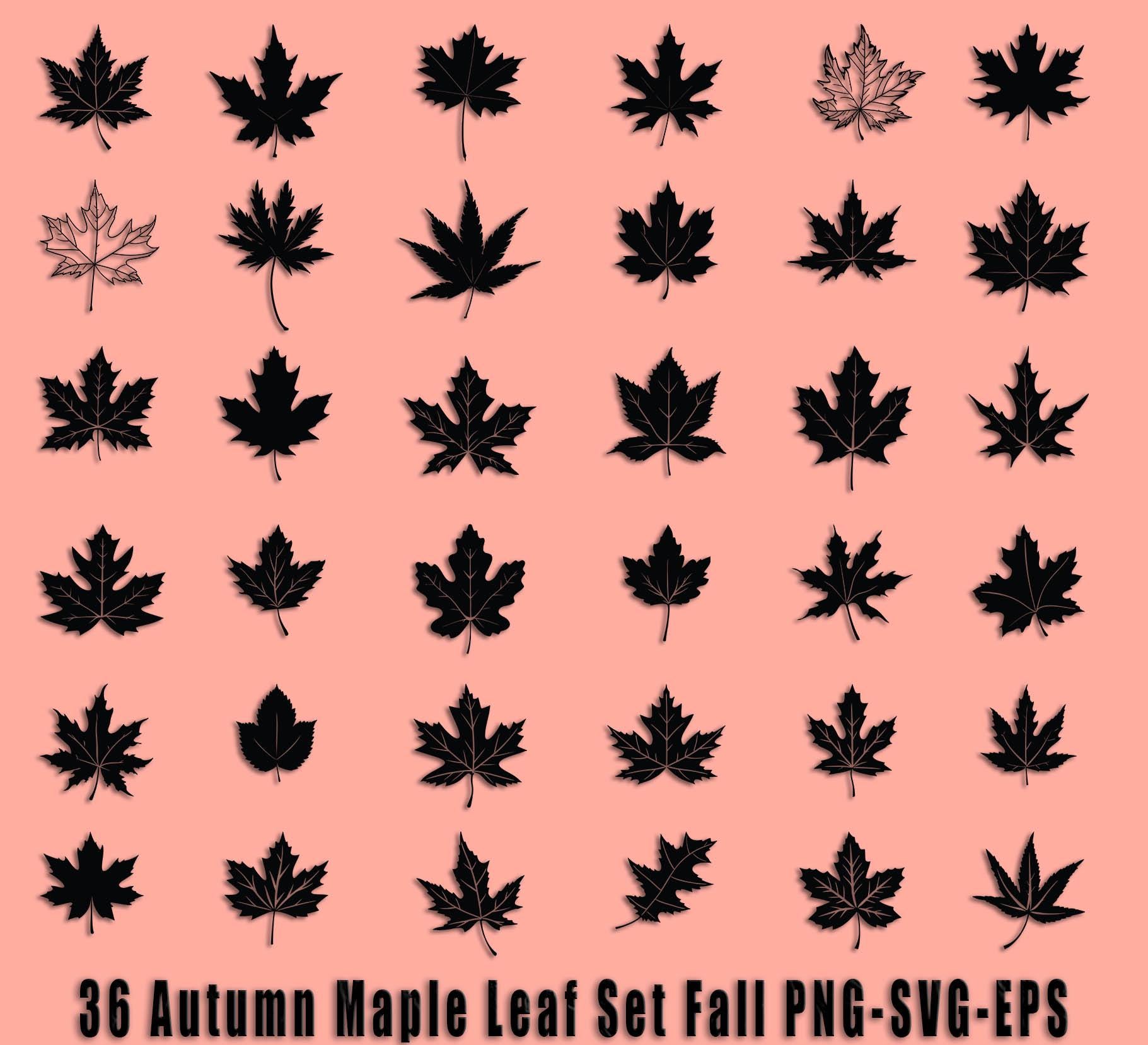 Maple Leaf SVG Bundle: Autumn Leaves Vector Clipart (digital Download ...