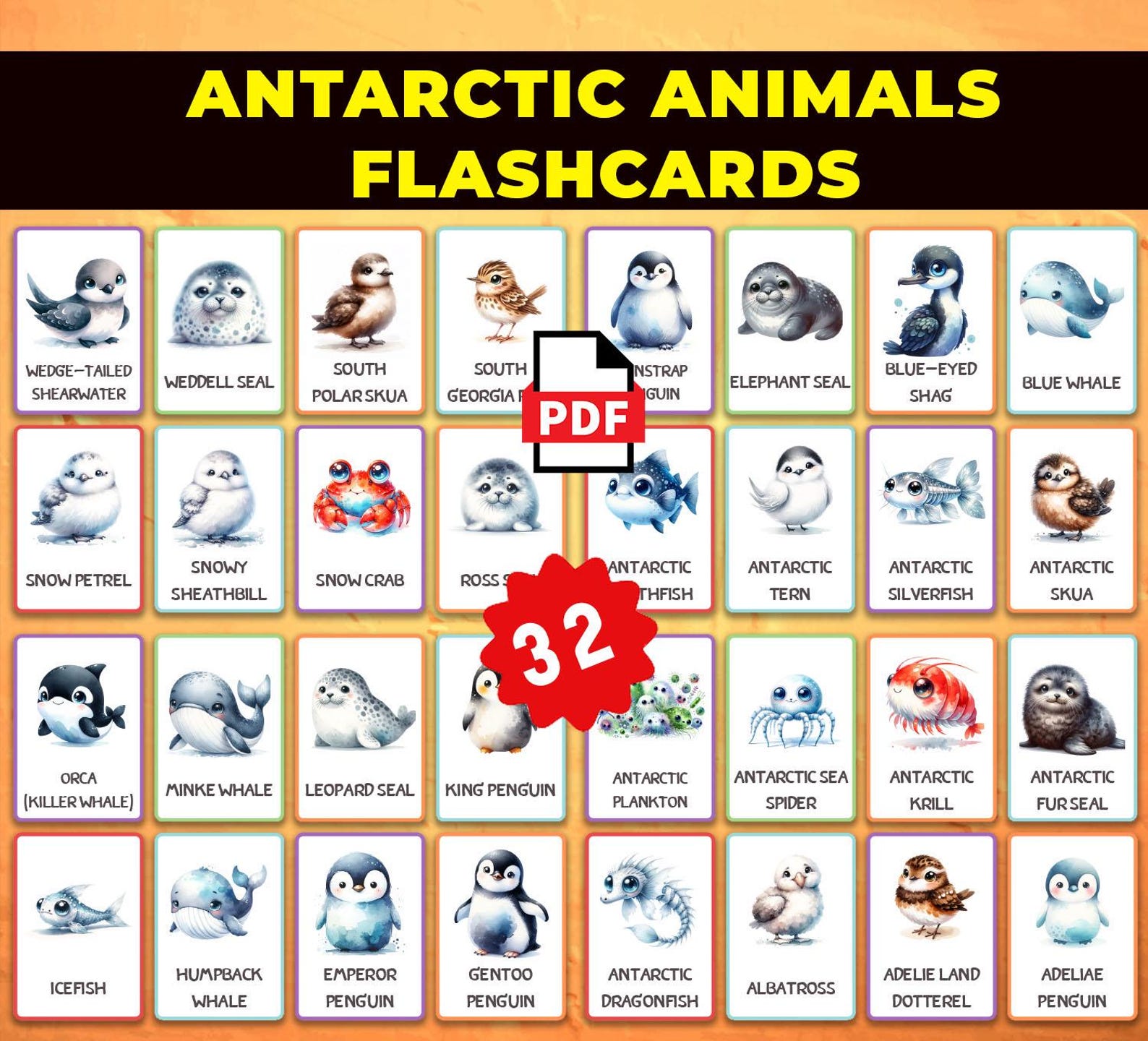 ANTARCTIC ANIMALS Montessori Cards • Flash Cards Nomenclature ...