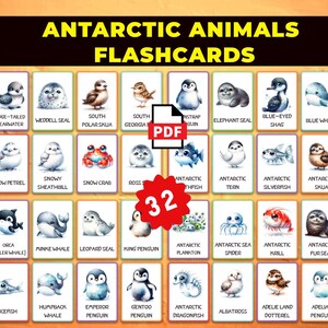 ANTARCTIC ANIMALS Montessori Cards • Flash Cards Nomenclature ...