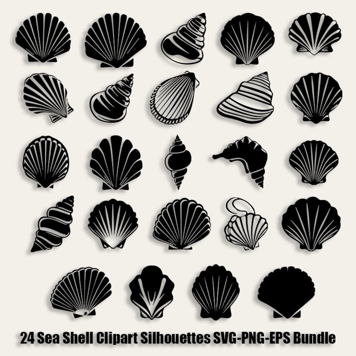 Seashell SVG Bundle, Seashell PNG Bundle, Seashell Clipart, Seashell ...